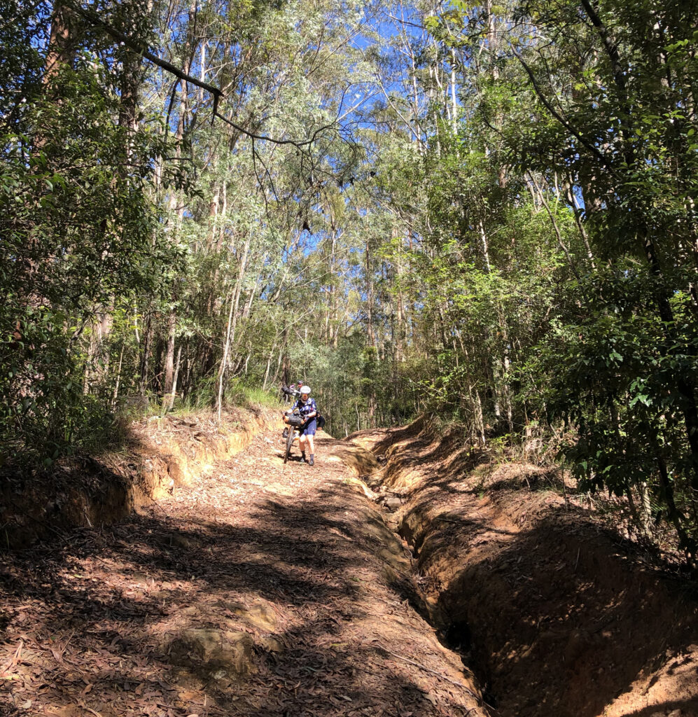 Desire Lines Cycling Club: The Great Southeast Queensland Cheese Trail ...